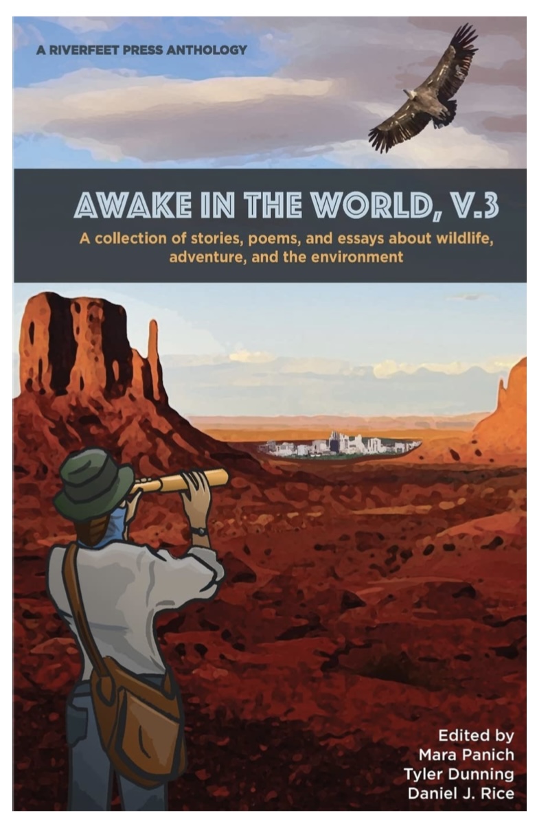 New Short Fiction in Awake in the World V.3 an Anthology of Riverfeet ...